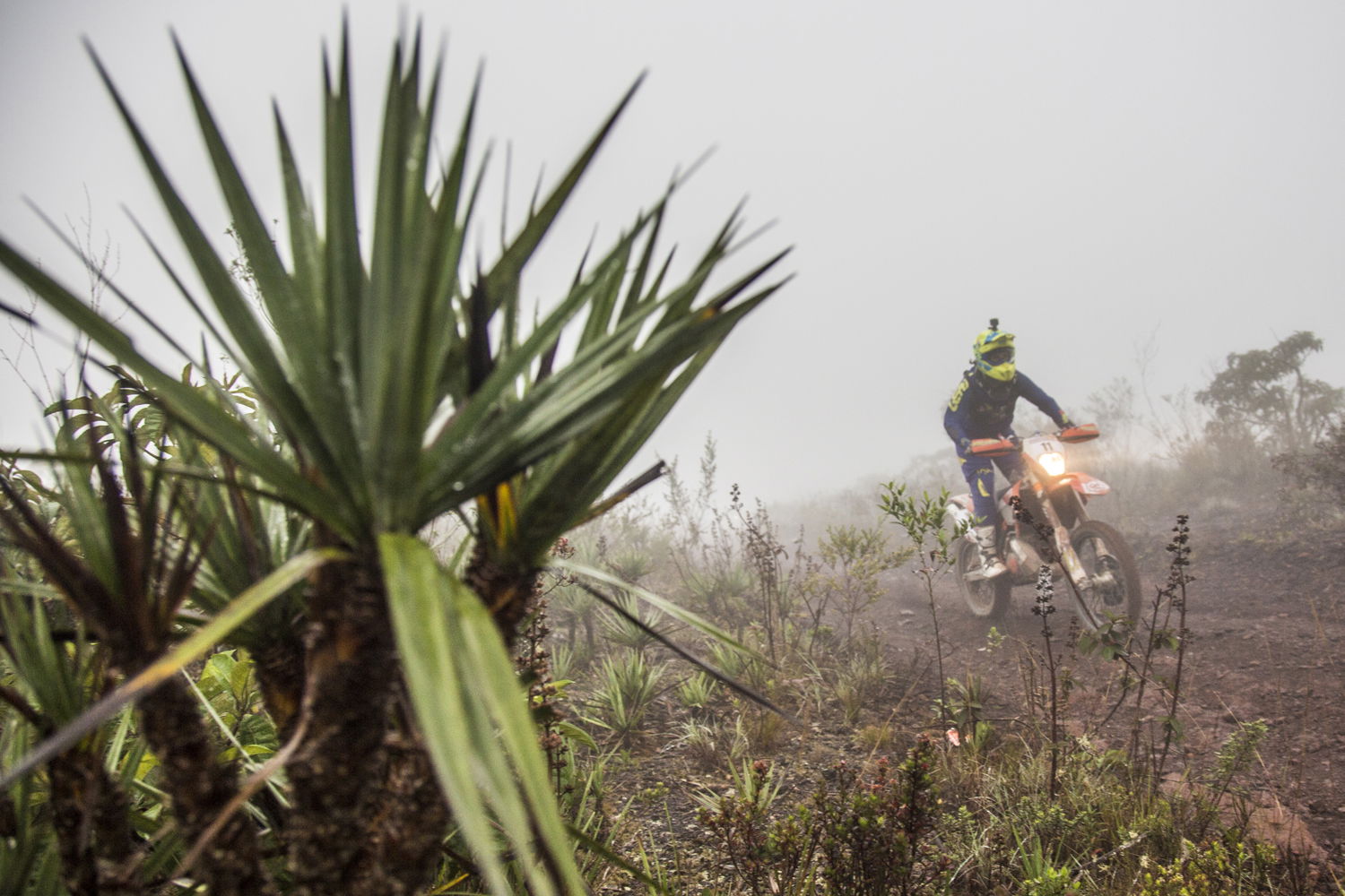 Red Bull Hard Enduro 2017 Minas Riders › Motorcycles.News - Motorrad ...