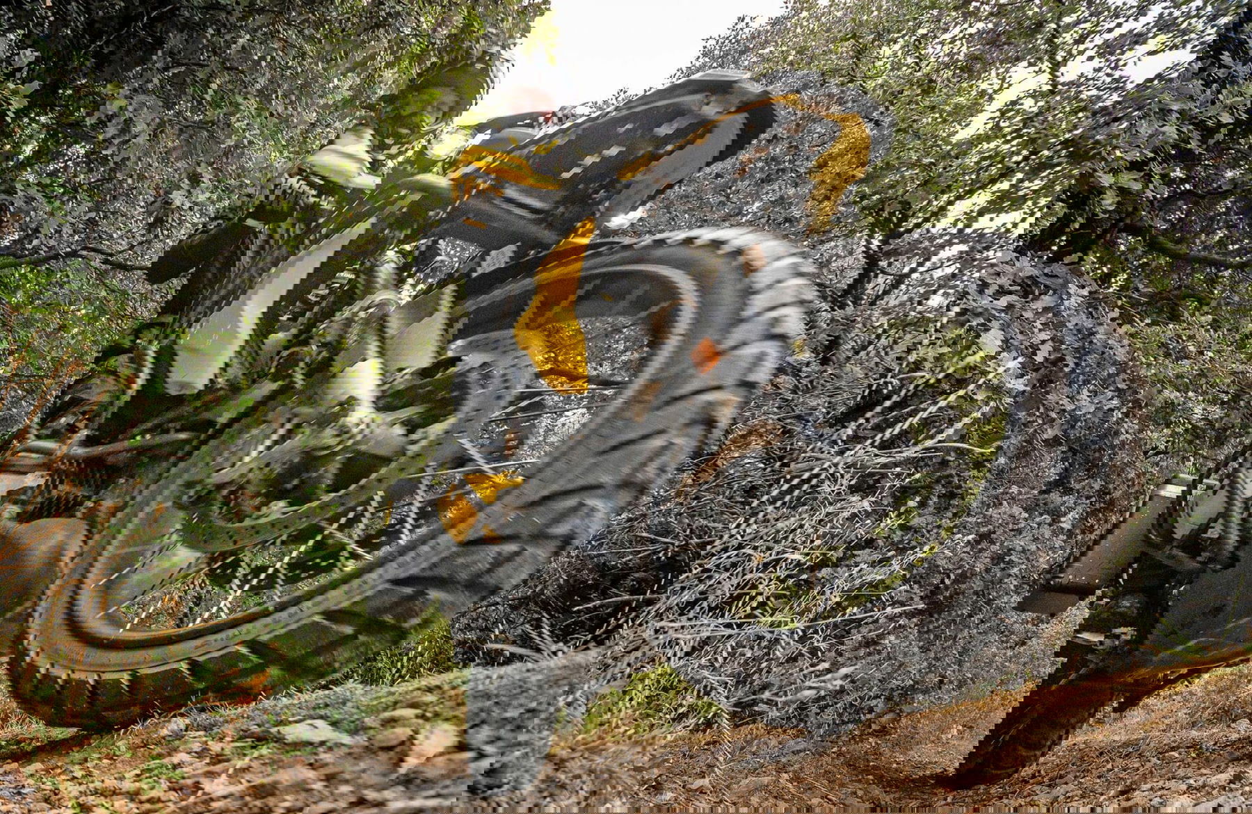 Long-standing partnership in the fast lane: the synergy of Touratech ...