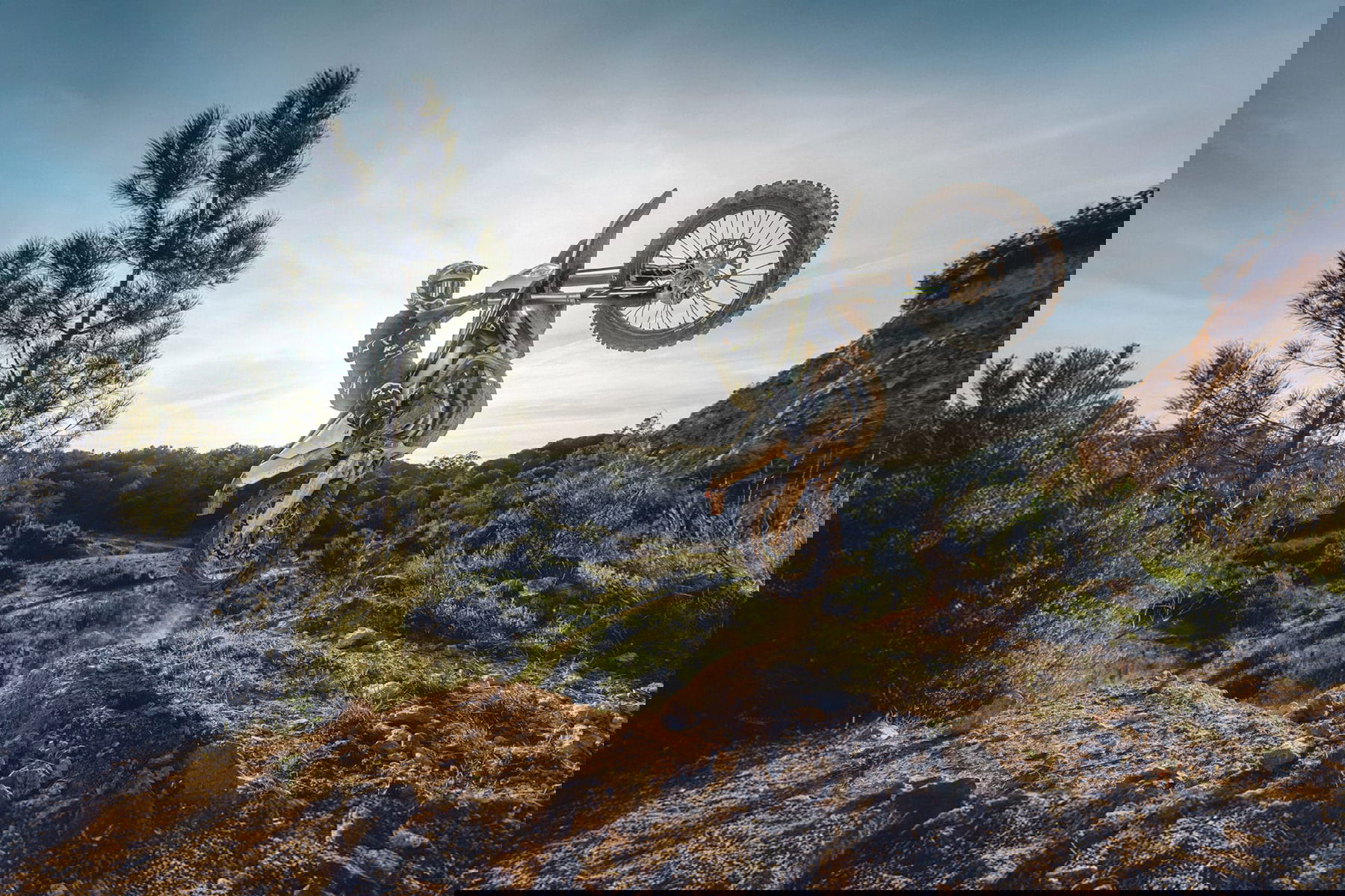 Triumph steigt ins Enduro-Segment ein: TF 250-E und TF 450-E für 2026 ...